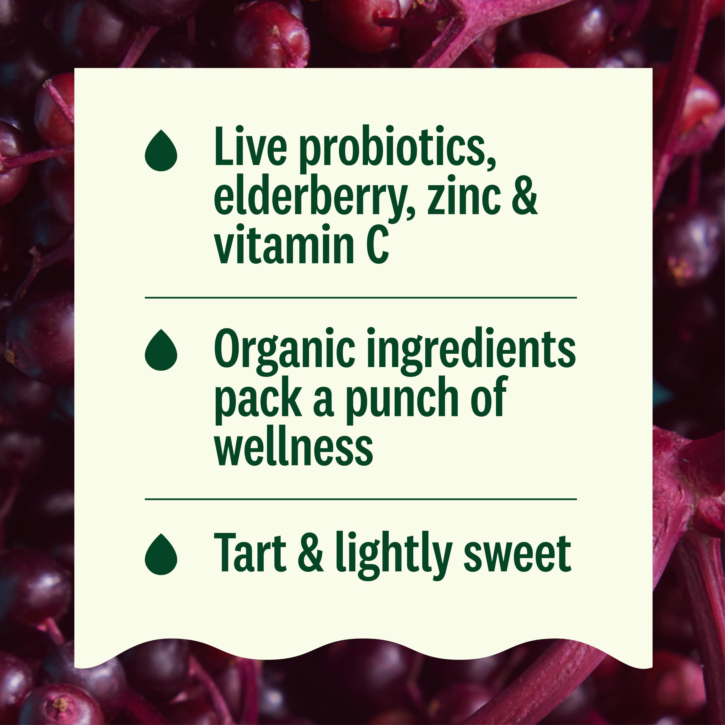 healthy elderberry shot for kids