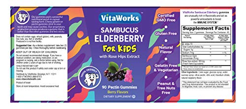 healthy elderberry snack for kids