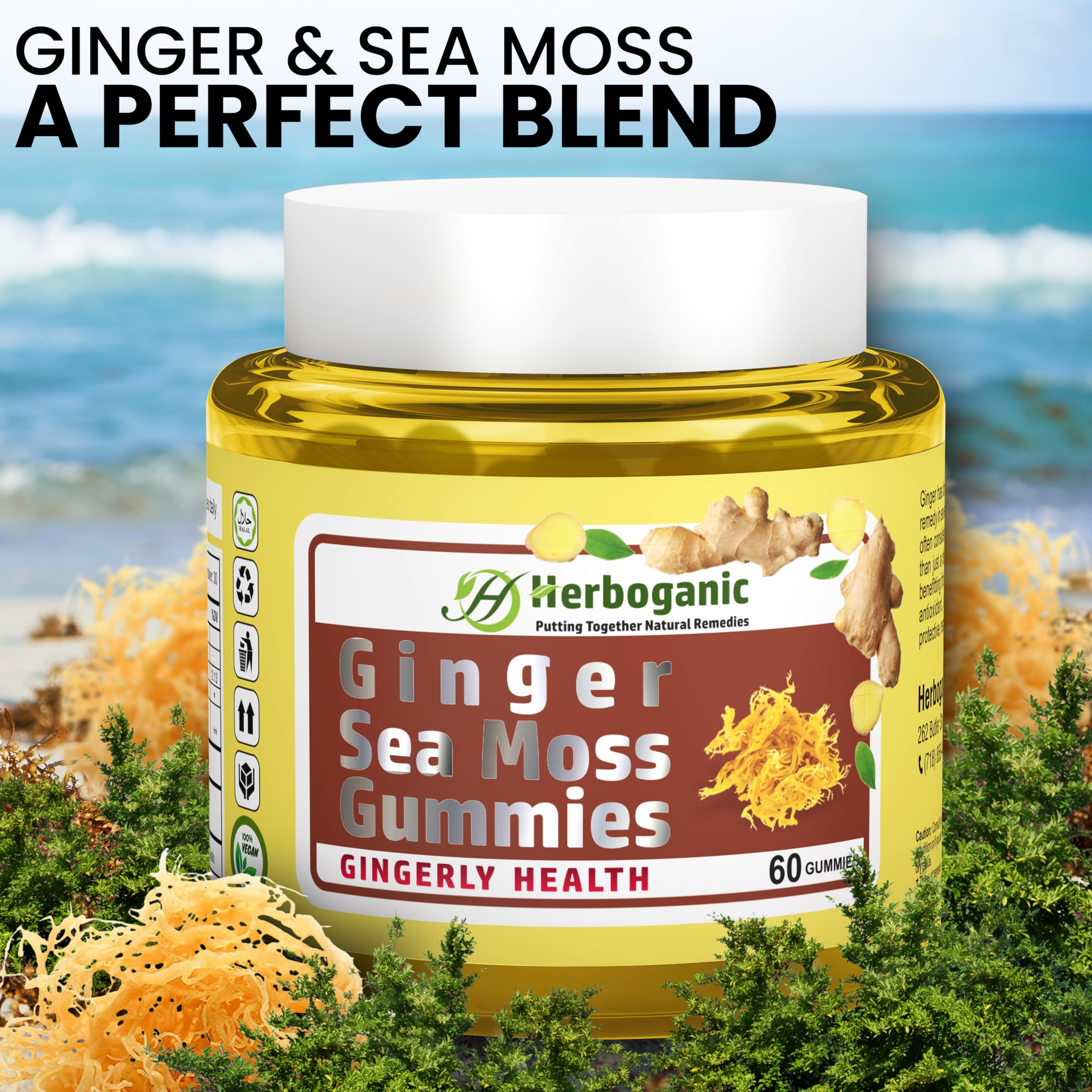 healthy ginger snack alternative