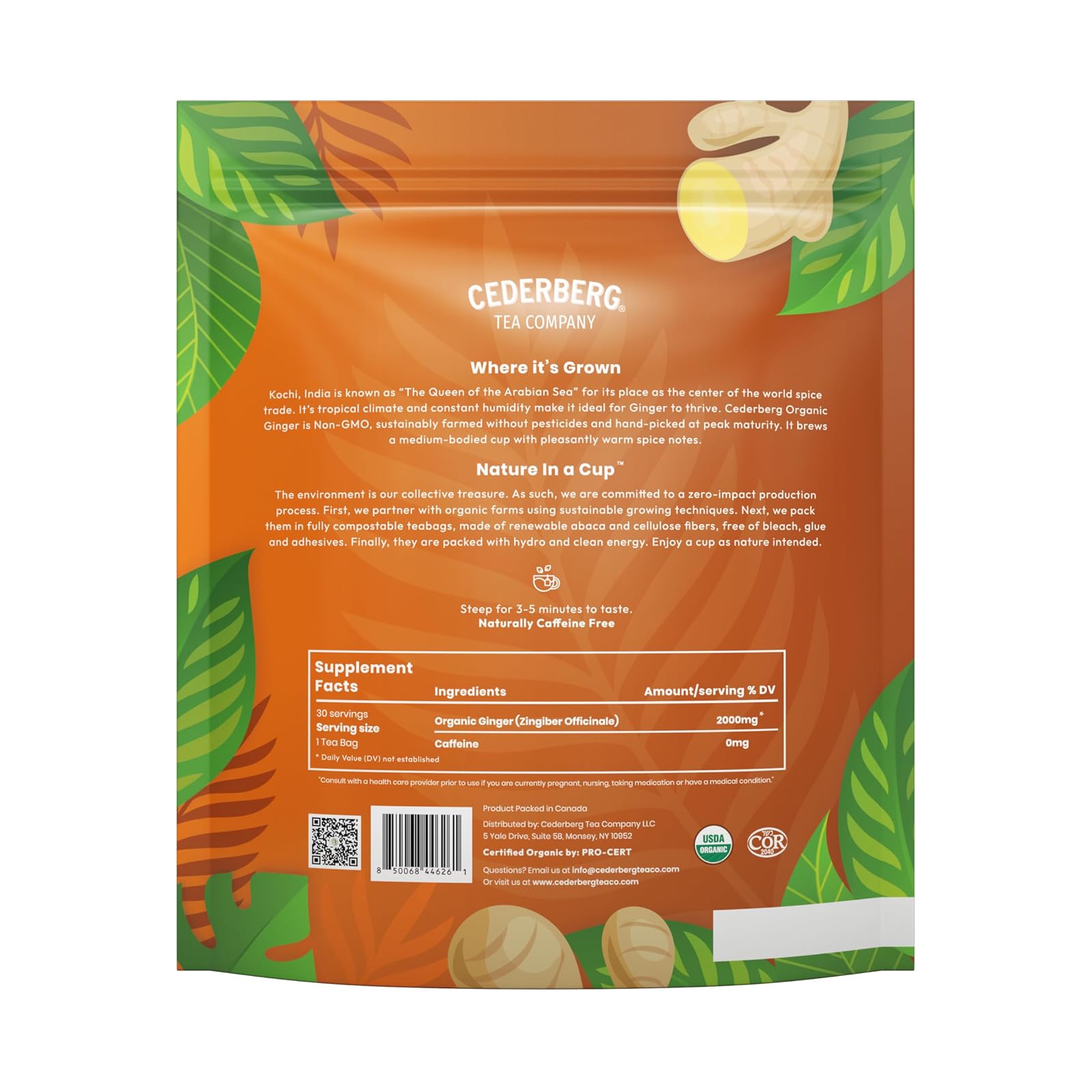 healthy ginger tea for immunity