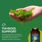 healthy green powder for kids