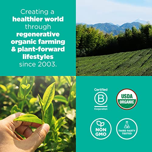healthy green tea extract alternative