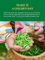 healthy green tea for wellness