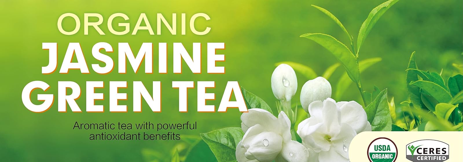 healthy green tea for wellness