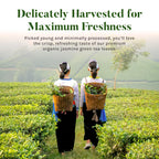 healthy green tea for wellness