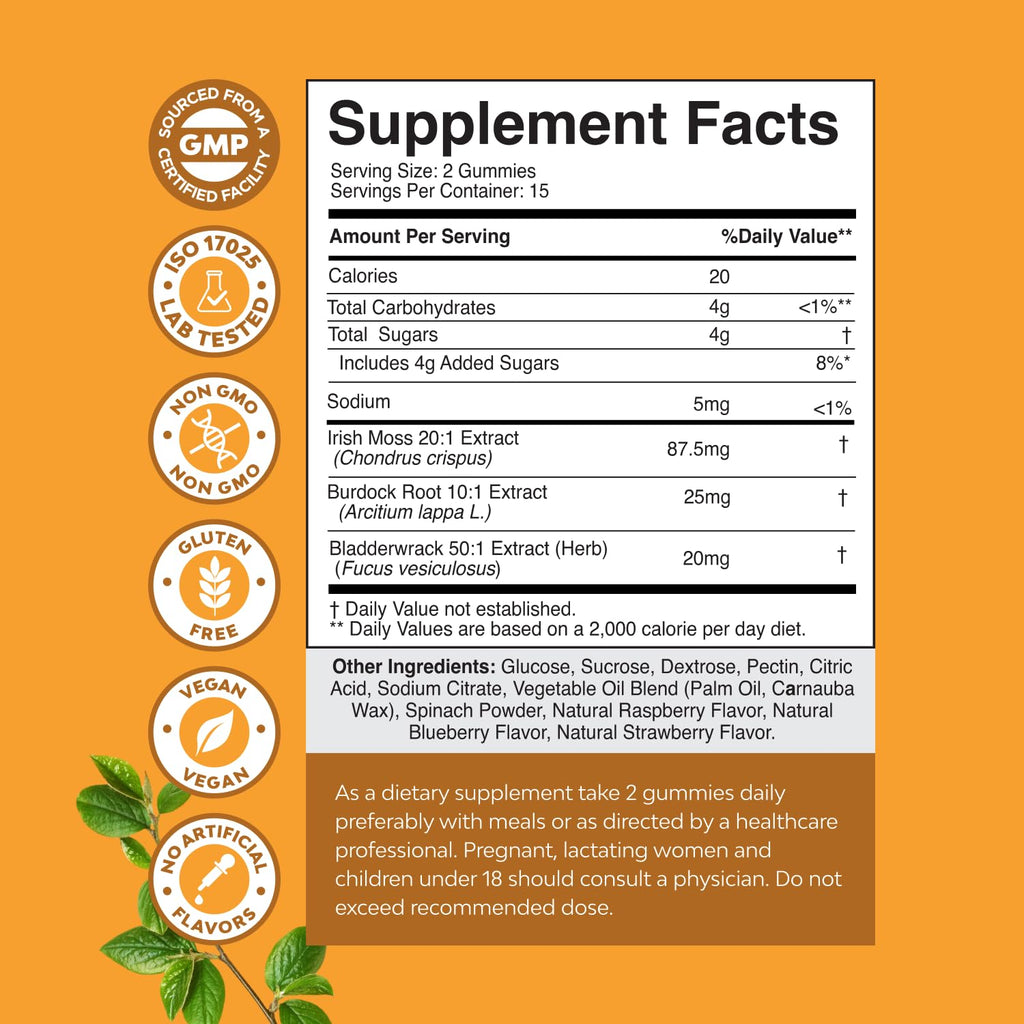 healthy gummies with burdock extract