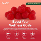 healthy gut support gummies