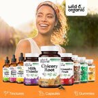 healthy gut with chicory root