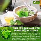healthy herbal infusion mulberry leaves