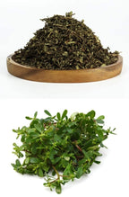 healthy herbal infusion tea