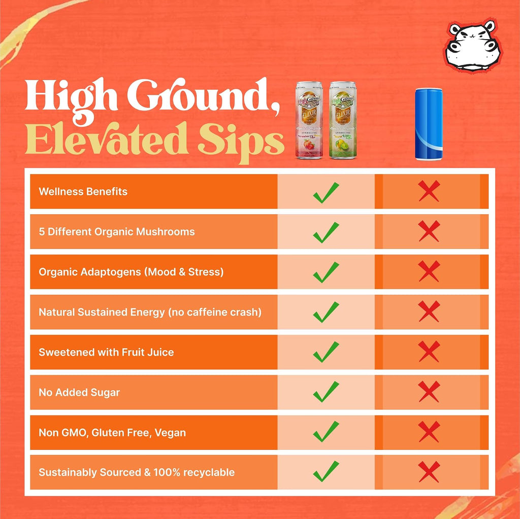 healthy hydration with mushroom blends
