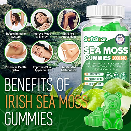 healthy immune system support gummies