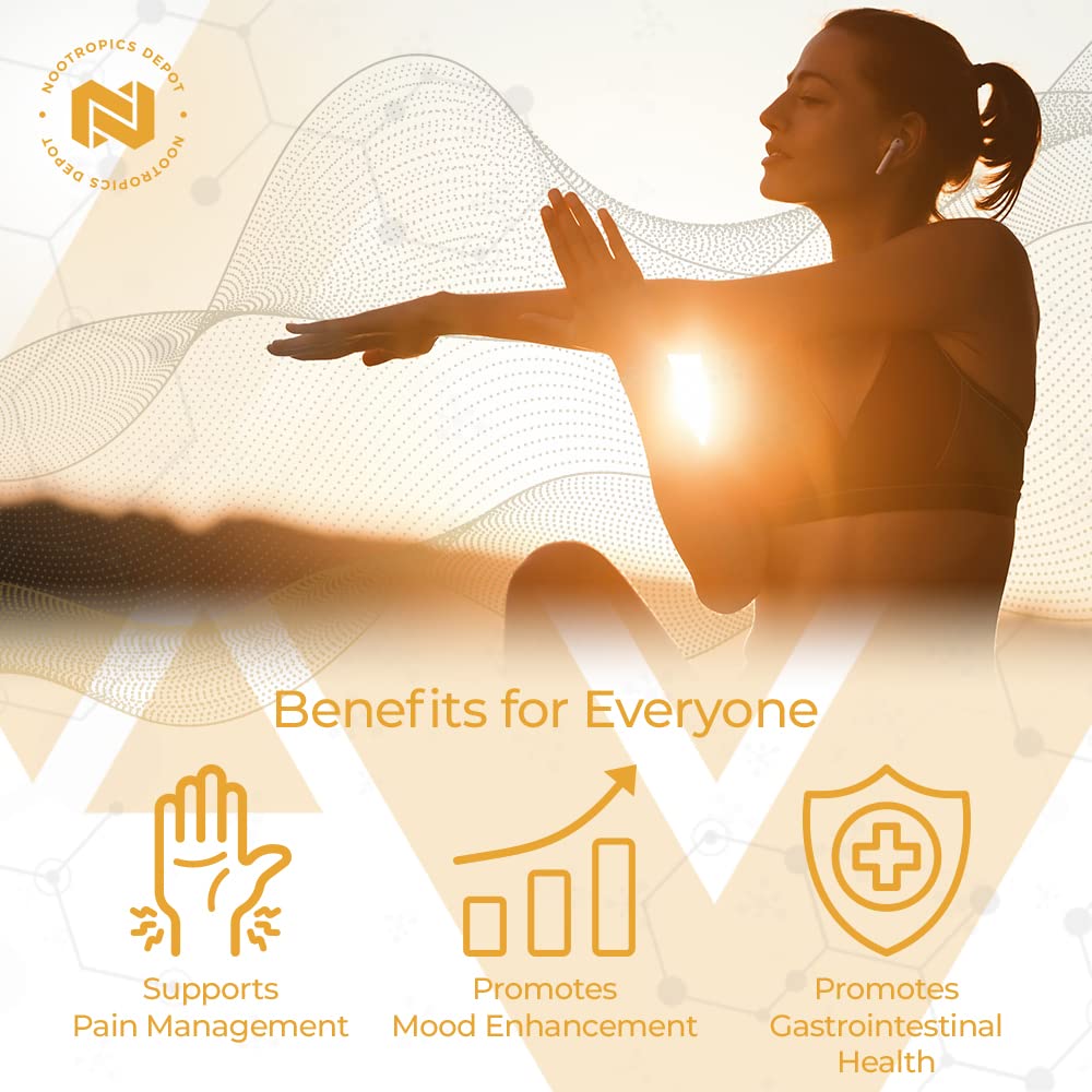 Healthy inflammation support supplements