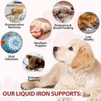 healthy iron supplement for dogs