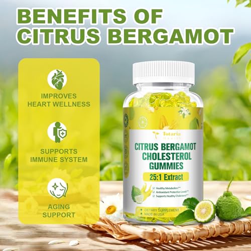 healthy lifestyle blended supplements