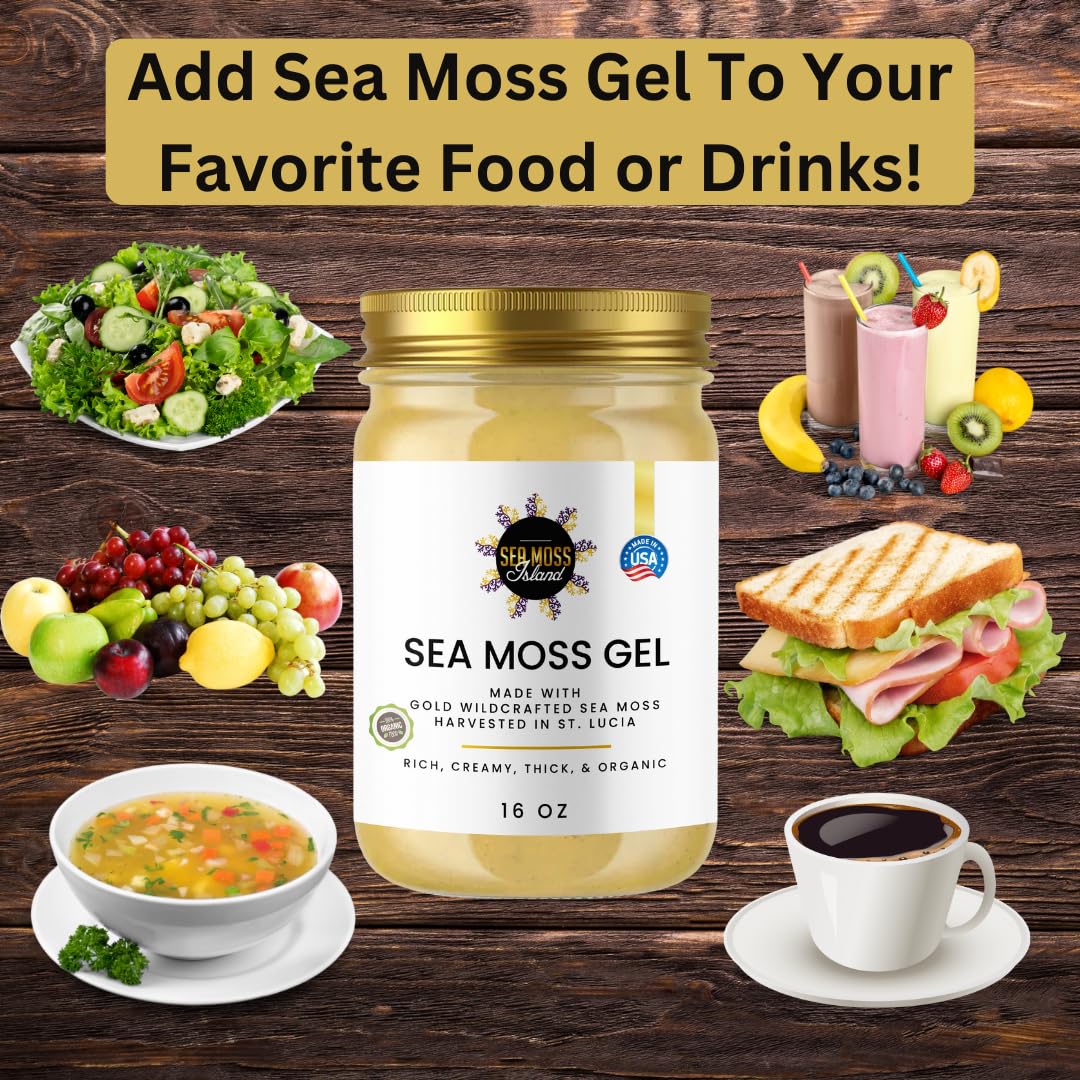 healthy lifestyle sea moss blend