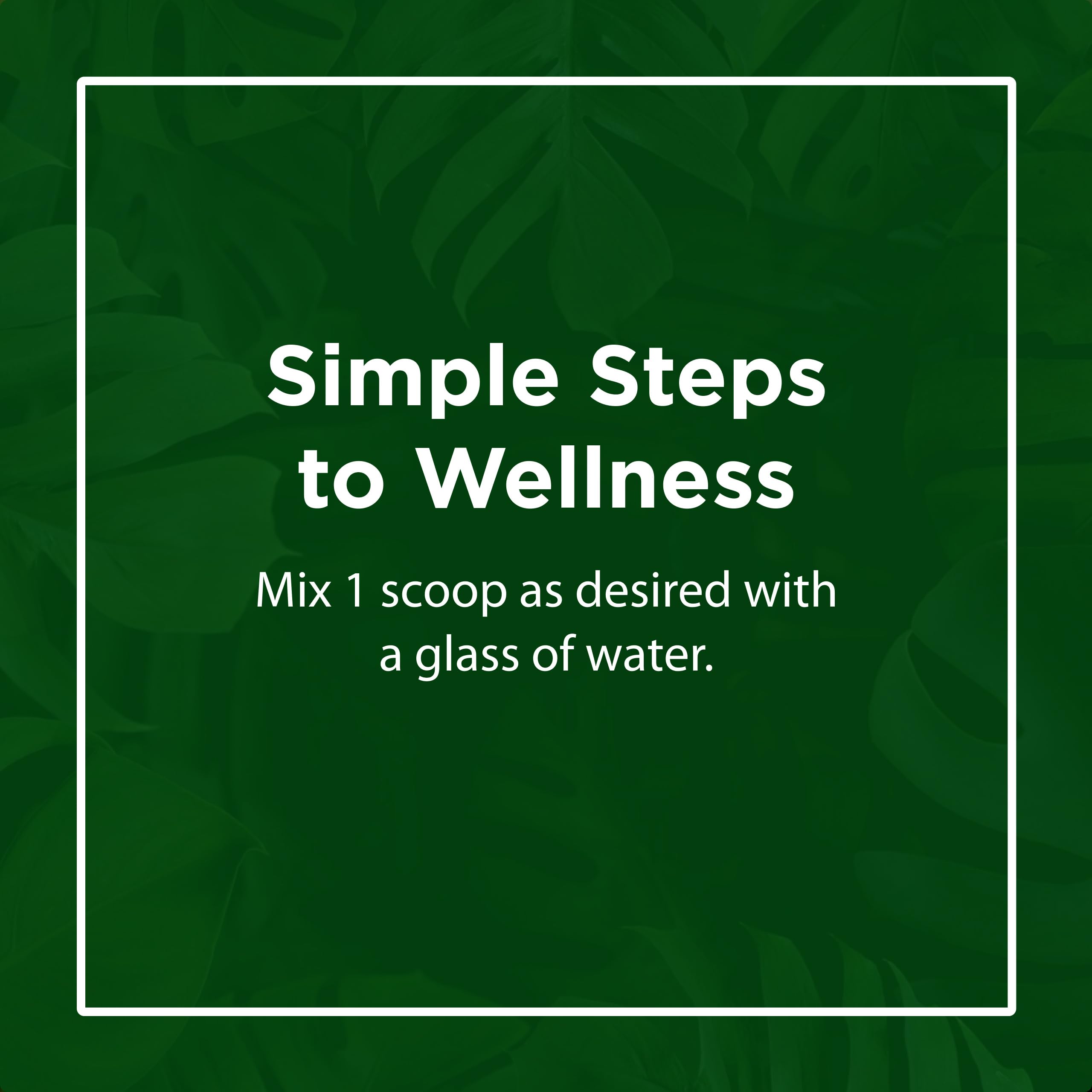 healthy lifestyle supplement option