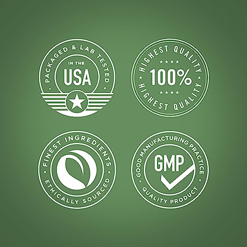 healthy lifestyle wheatgrass powder option