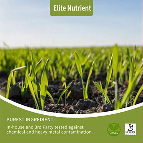healthy lifestyle with green superfood