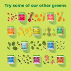 healthy lifestyle with greens powders