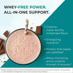 healthy meal replacement shake