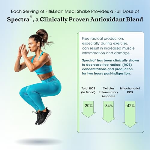 healthy meal replacement with 20g protein