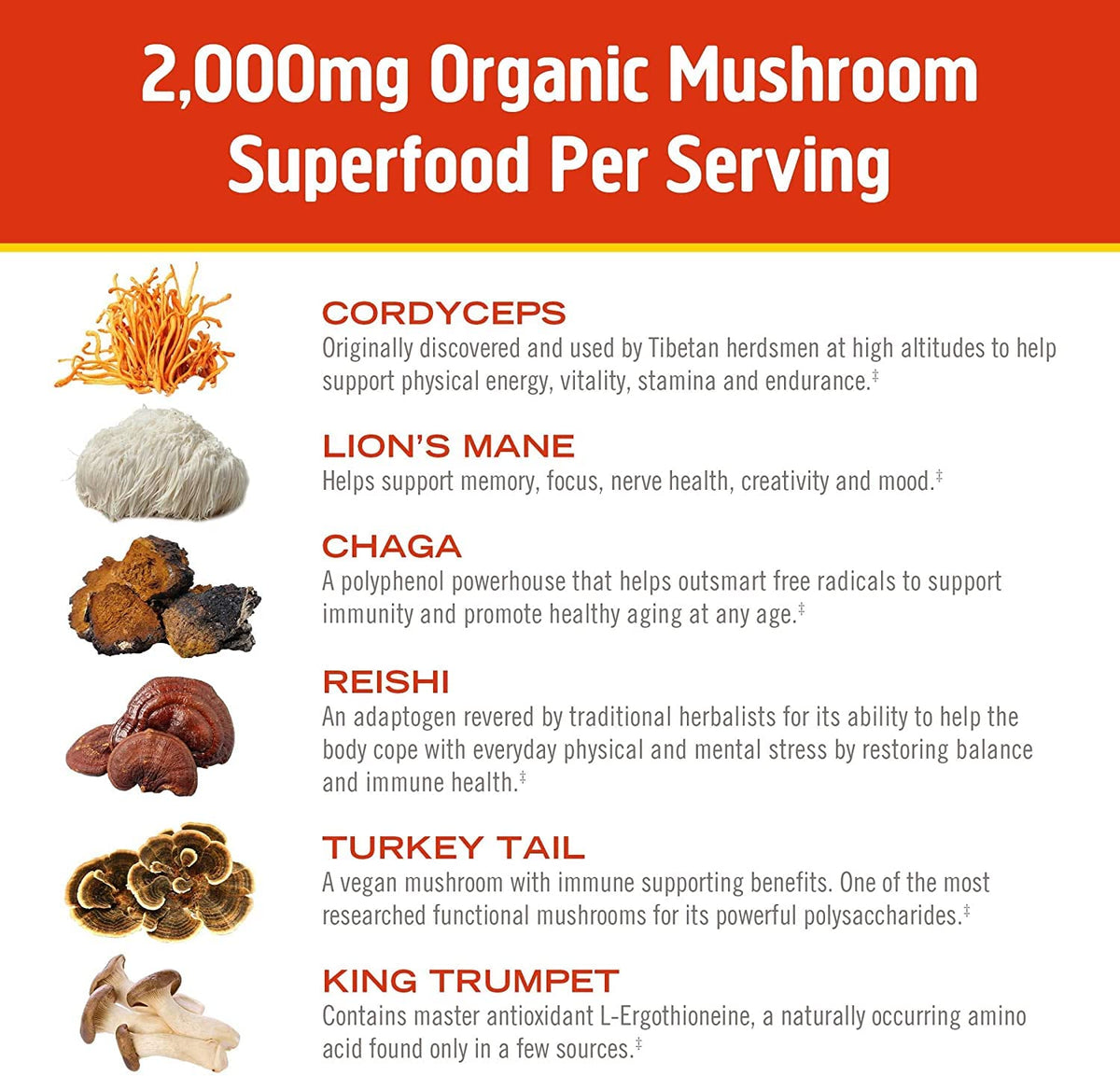 healthy morning energy powder supplement