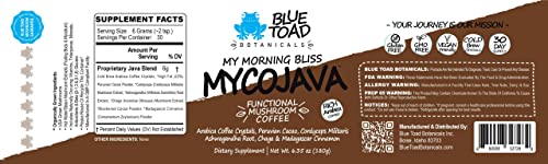 healthy mushroom coffee alternative