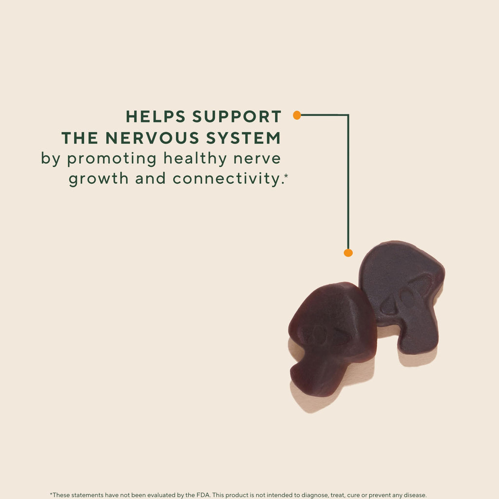 Healthy mushroom gummies for adults