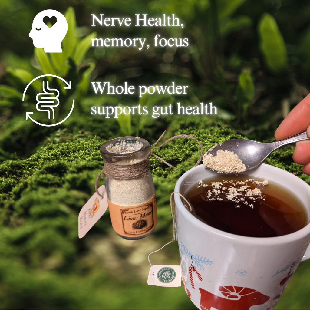 Healthy mushroom supplement benefits