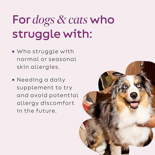 Healthy mushrooms for canine wellness
