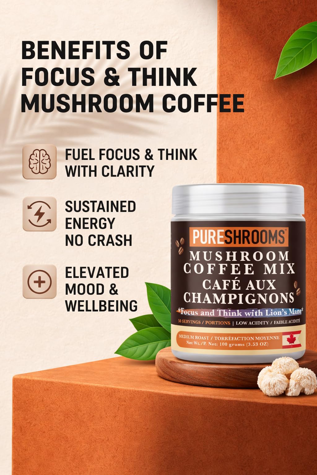 Healthy mushrooms for cognitive support