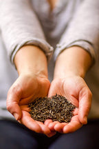 healthy organic green tea option