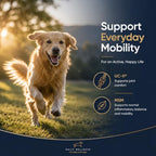 healthy petz collagen for skin