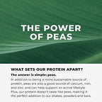 healthy plant protein for athletes