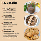 healthy plant protein for smoothies