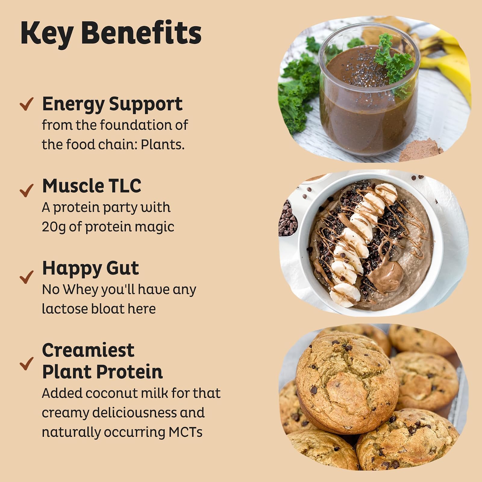 healthy plant protein for smoothies