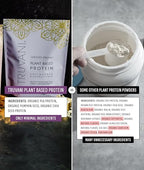healthy plant protein for smoothies