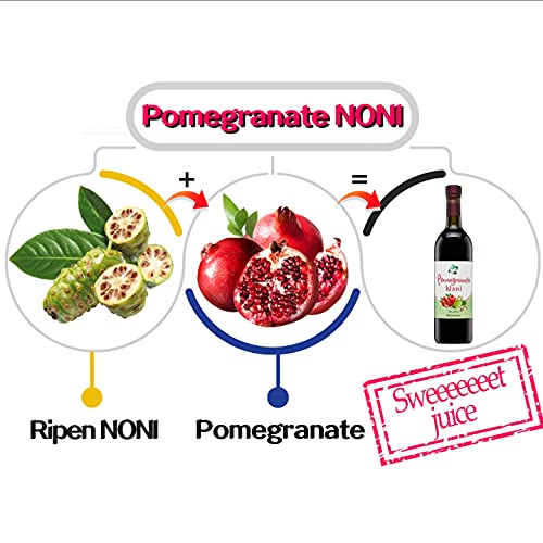 healthy pomegranate noni blend