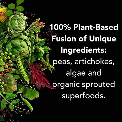 healthy protein alternative to whey