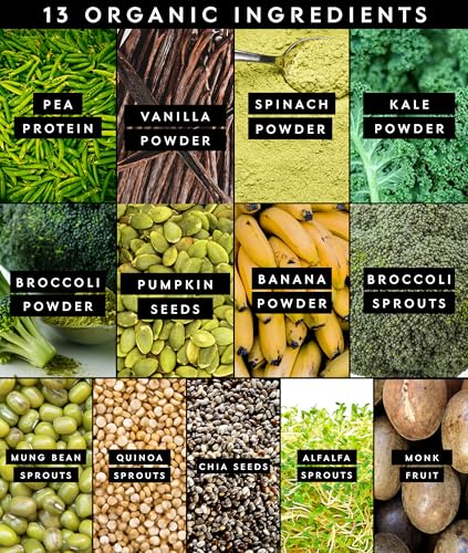 healthy protein for muscle recovery