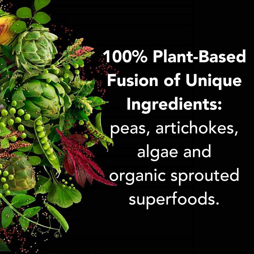 Healthy protein option for snacks