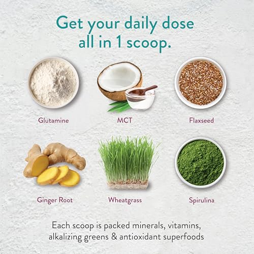 healthy protein powder for athletes