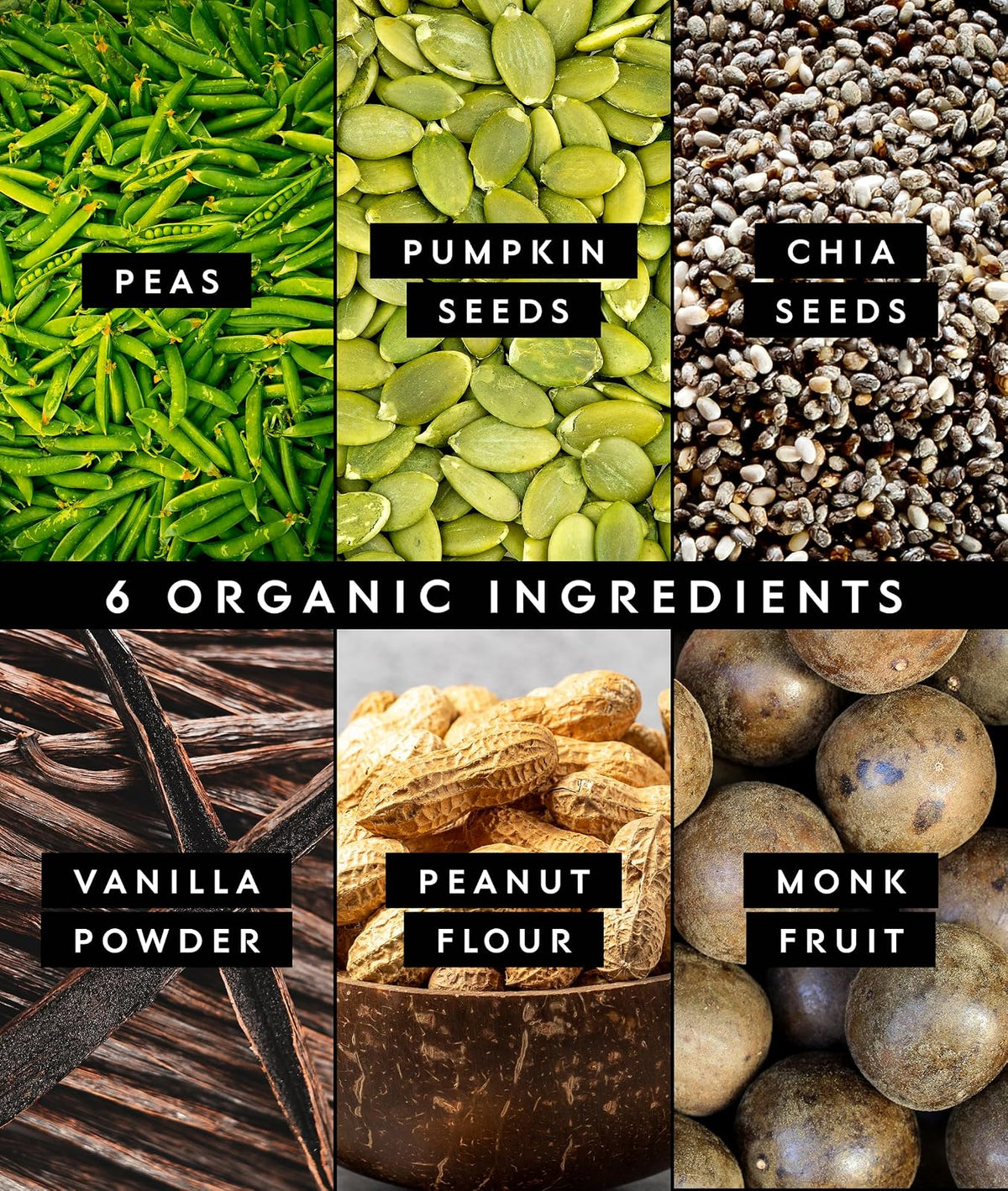 healthy protein powder for baking