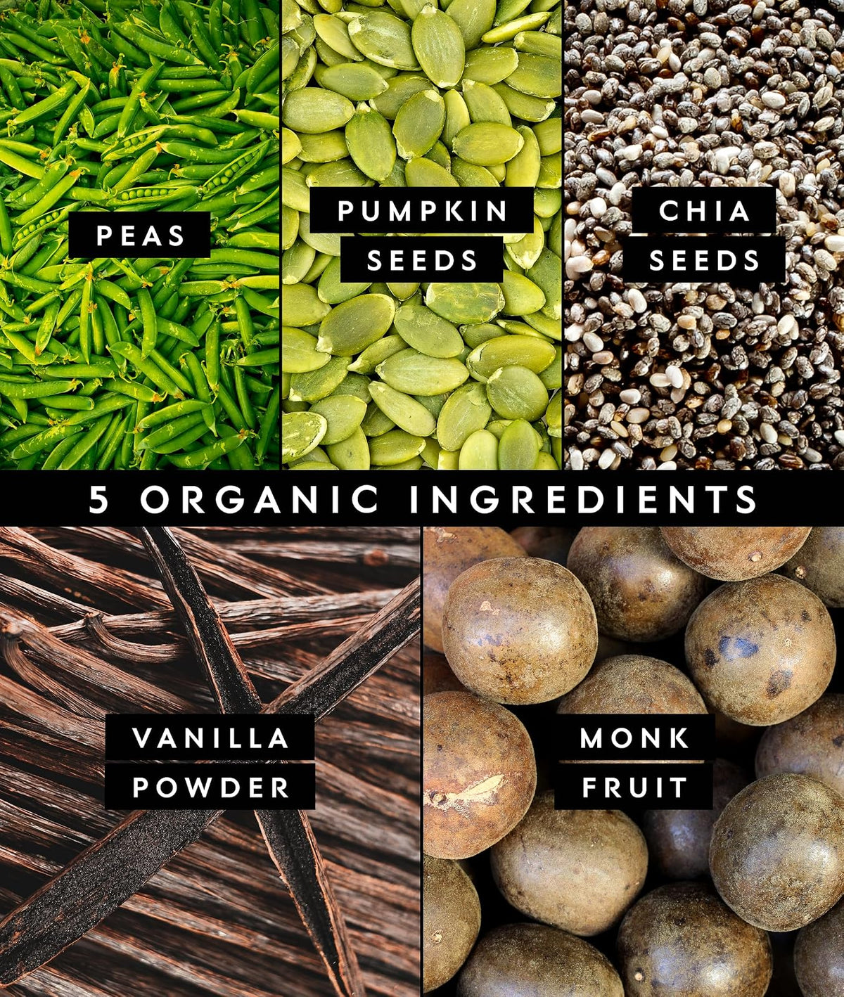 healthy protein powder for baking