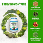 healthy protein powder for meal replacement