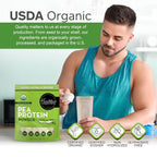 healthy protein powder for snacks