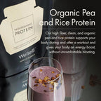 healthy protein source for athletes
