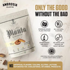 healthy protein source for vegans
