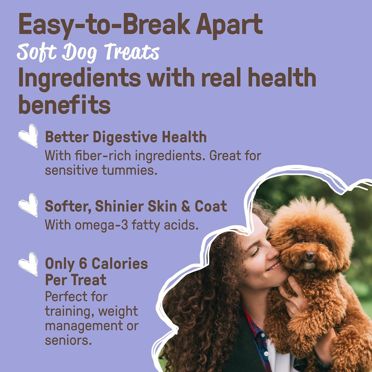 healthy pumpkin blueberry dog snacks